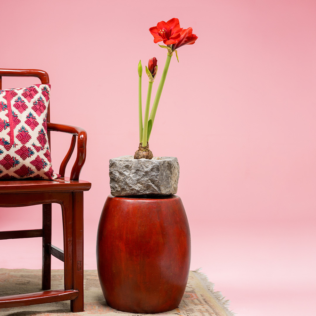 Red Lacquer Official's Chair - Browse or Buy at PAGODA RED