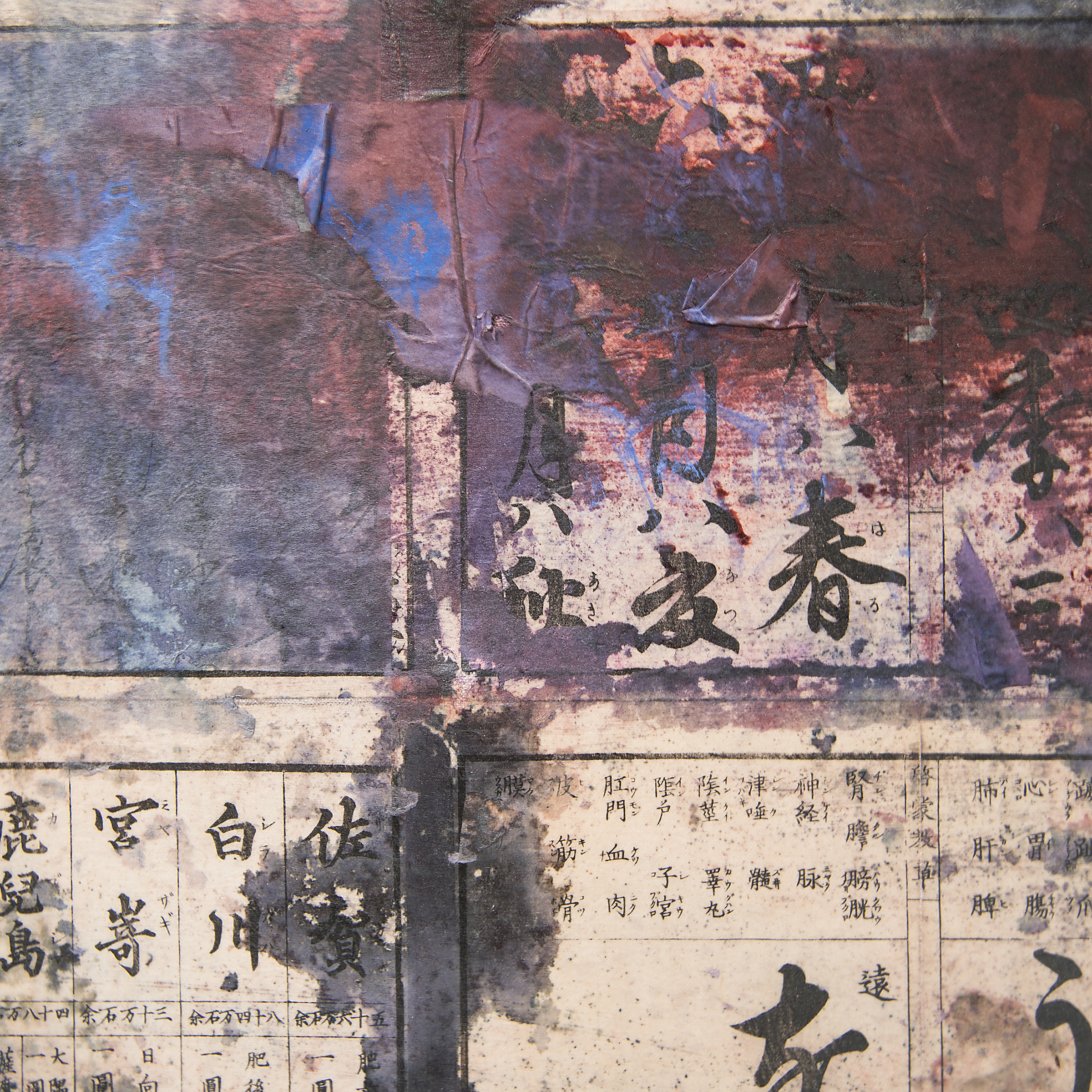 "Open Book" Kite by Michael Thompson - Browse or Buy at PAGODA RED