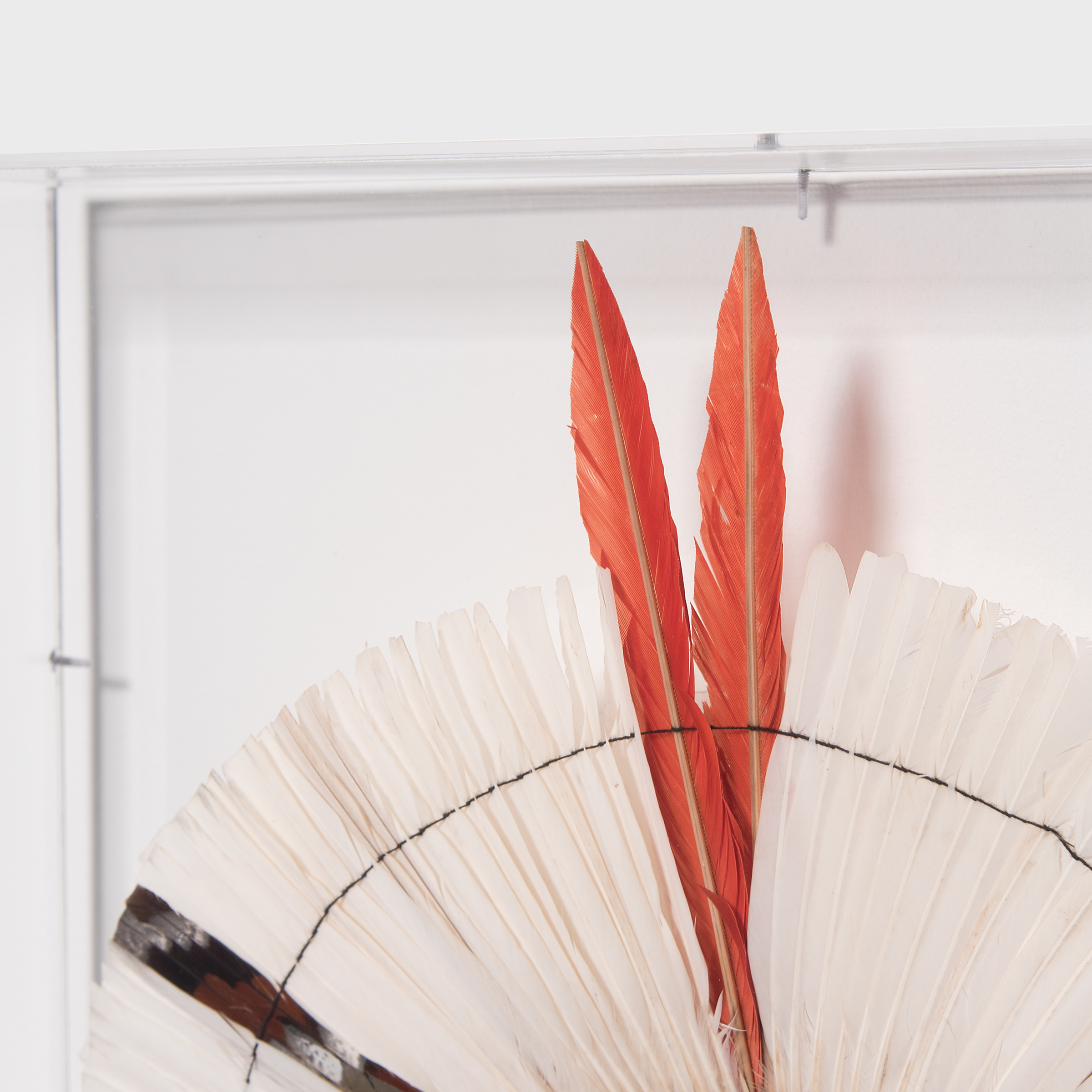 Kayapo Feather Headdress - Browse or Buy at PAGODA RED